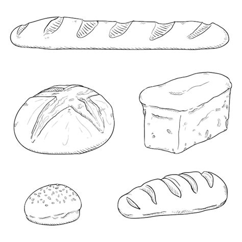 Conjunto De Bocetos Vectoriales De Panes Y Baguettes Recién Horneados