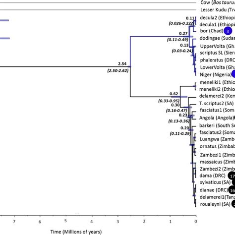 Multilocus Bayesian Phylogeny Of 27 Bushbuck Scriptus And Sylvaticus