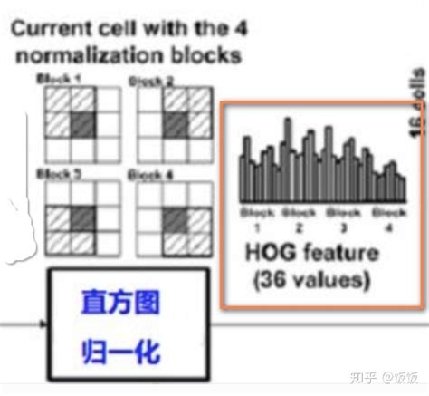Cv17 Hog特征提取算法featurehog Csdn博客