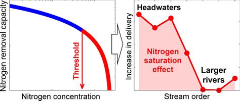Hypothesized Effects Of Nitrogen Concentration Saturation On Delivery Download Scientific