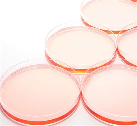 Our Expertise In Cosmetic Regulation To Your Service