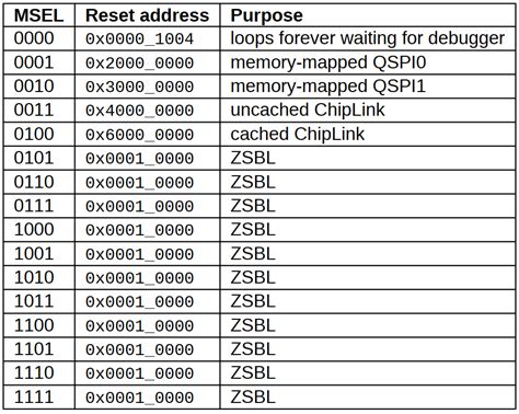 Risc V