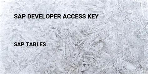 Sap Developer Access Key Table In Sap