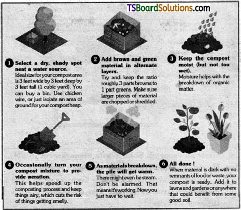 TS Inter 1st Year Environmental Education Study Material Chapter 17