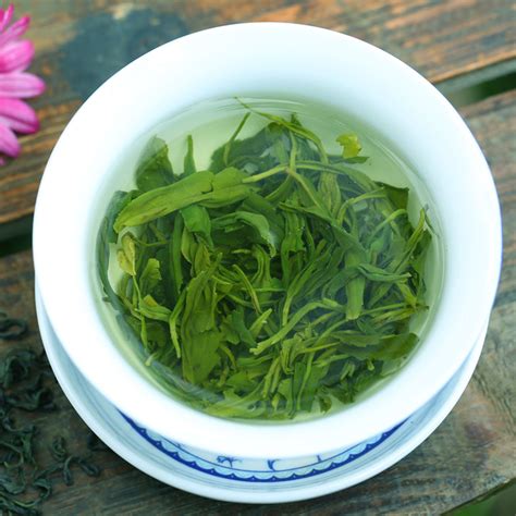 崂山对节子茶 对节子茶 第9页 大山谷图库