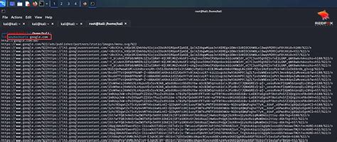 Subdomain Enumeration Leveraging Web Architectures Power Redfox