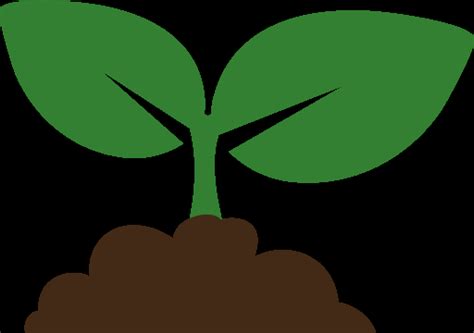 Download Seedling Icon Free Freepngimg