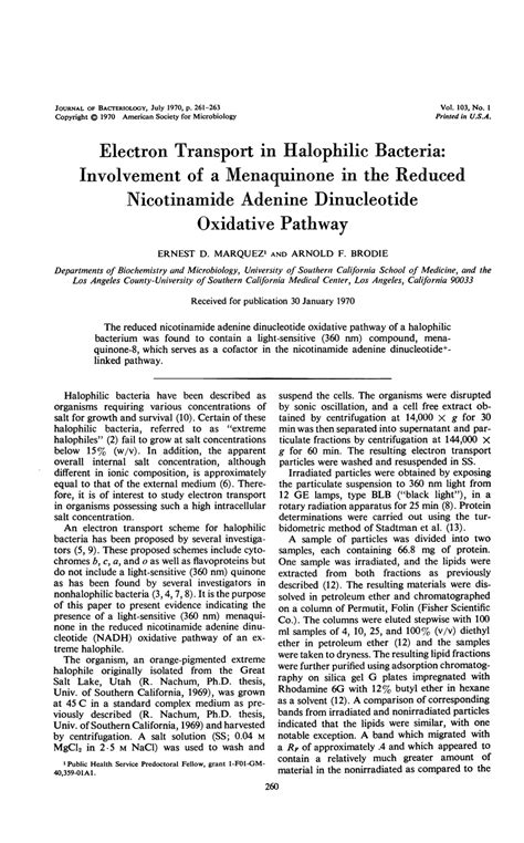 Electron Transport In Halophilic Bacteria Involvement Of A Menaquinone