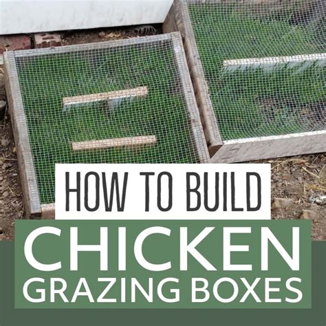 Chicken Grazing Boxes Download Free Pdf Plans Hawk Hill