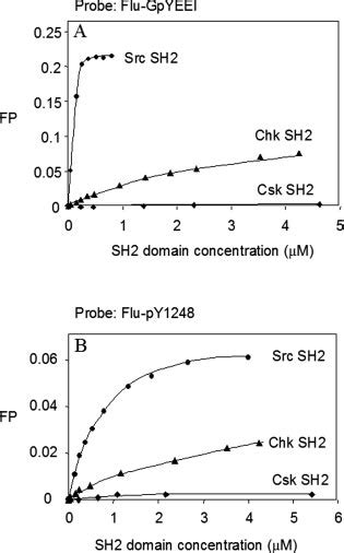 functional comparison among the src csk and chk sh2 domains a