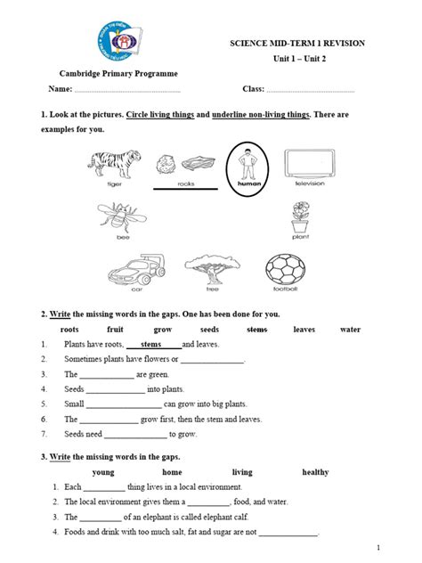 Cps1 Mid Term 1 Review Pdf
