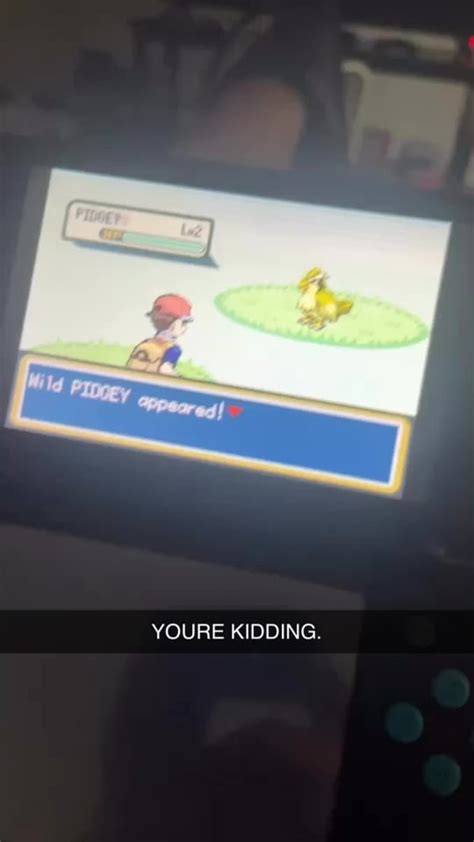 [gen 3] Shiny Pidgey Fail R Shinypokemon