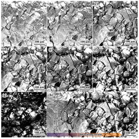 Metals Special Issue Modelling The Deformation Recrystallization And Microstructure Related