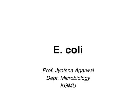 PPT Versatile E Coli Bacteria Pathogenicity Infections And More PowerPoint Presentation