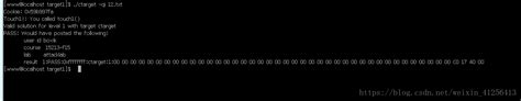 深入理解计算机系统attack Lab深入理解计算机系统 Attack Lab Csdn博客
