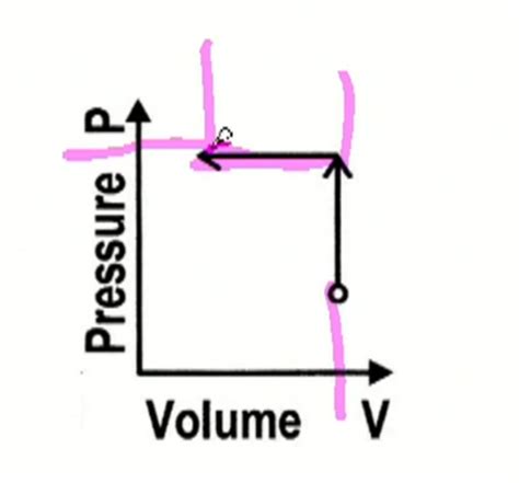Lecture The Cardiac Cycle Key Terms And Definitions Flashcards Quizlet