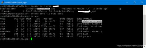 使用flasknginxuwsgidocker部署python应用entrypoint Uwsgi Docker Csdn博客