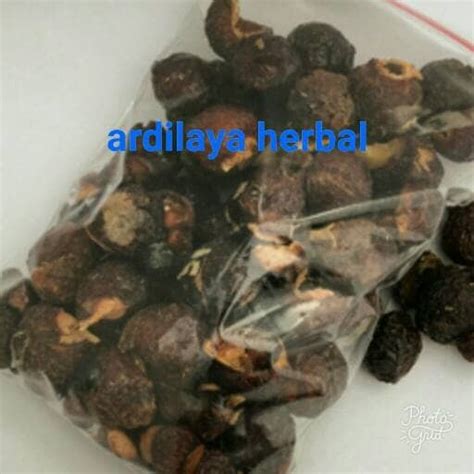 Jual Lerak Buah Lerak 500 Gram 100 Asli Shopee Indonesia