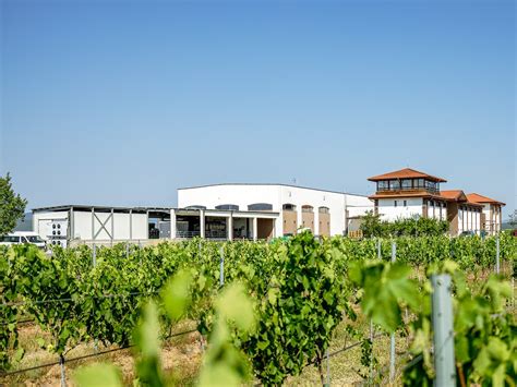 Виа Винера | WineTours-пътеводител винен туризъм