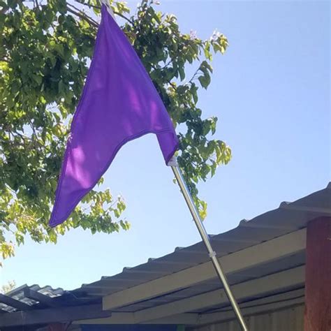 Flags And Poles Designs In Motion