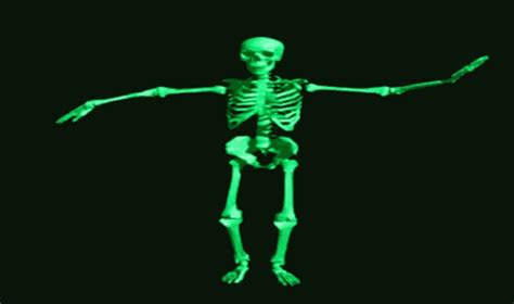 Dancing Skeleton  The Ultimate Playful Animated Clip