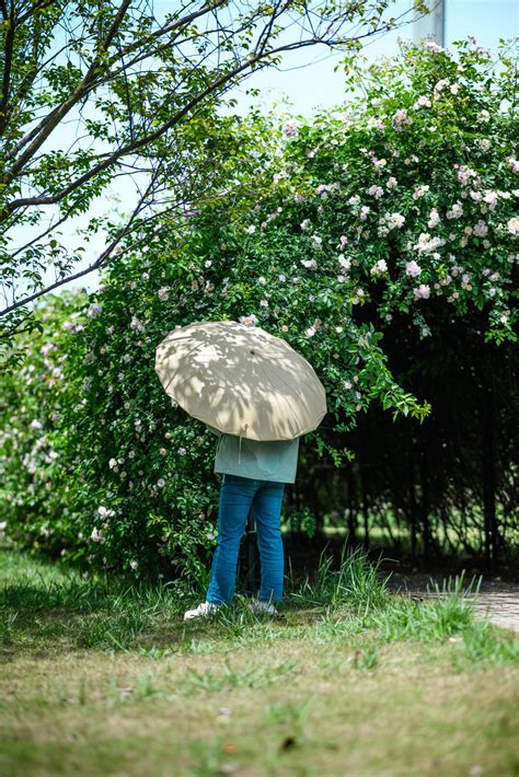 Sophierainhot Photos Download The Best Free Sophierainhot Stock