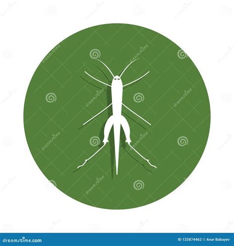 Grasshopper Fly Firefly Ant Mosquito Bee Bumblebee Butterfly