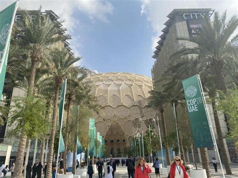 Cop28现场报道丨“损失与损害”基金里程碑式协议达成，阿联酋和德国分别承诺提供1亿美元 要闻 低碳网