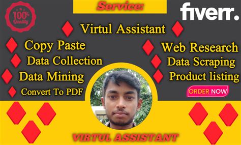 Do Data Collection Web Research Copy Paste Product Listing And Data