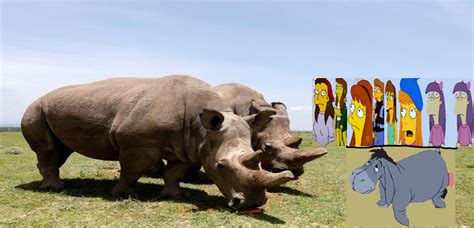 Team Eeyore Stared Sadly At Najin And Fatu By Benhughes14 On Deviantart