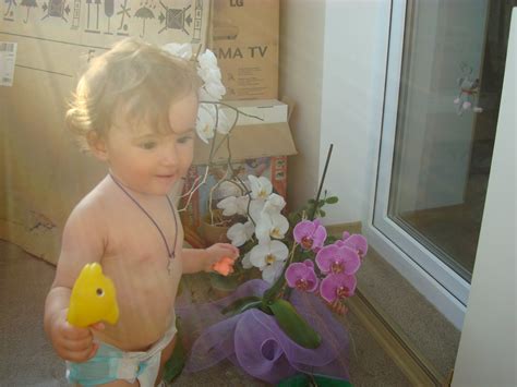 доця на тлі квіточок вік дитини 1 рік Ладимир Бондар Flickr