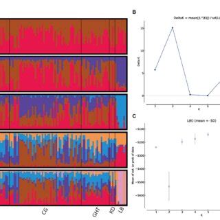 Bayesian STRUCTURE Clustering Results For Jankowski S Bunting Based On