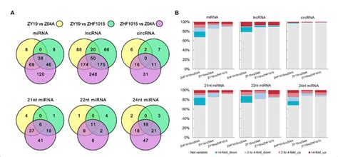Differential Expression Ncrnas Between The Three Varieties A Venn Download Scientific