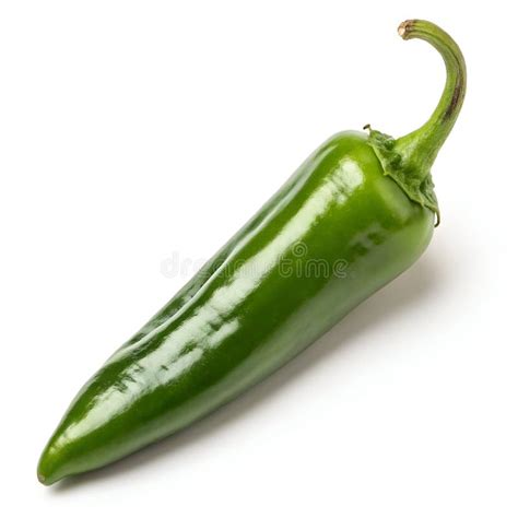 Green Chili Pepper Isolated On White Background Stock Illustration