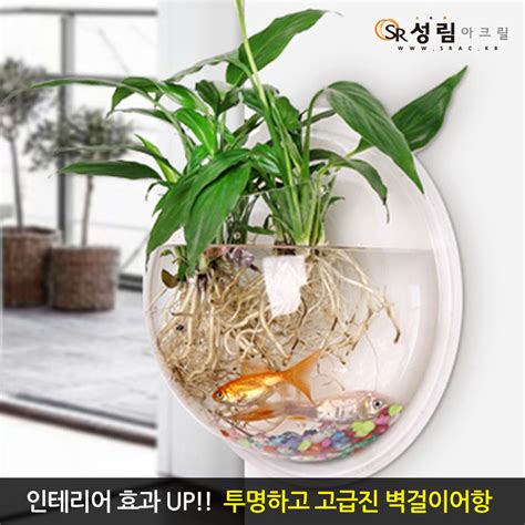 성림아크릴 인테리어 벽걸이어항 수조세트 위시버킷