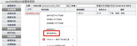 Taogogo Taocms V302 远程代码执行（cve 2022 25578） 阿里云开发者社区