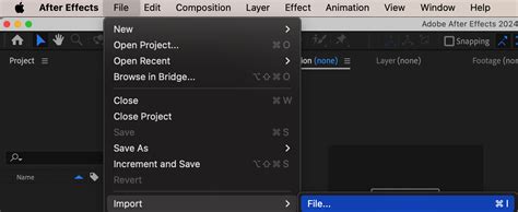 How To Import Illustrator Vectors Into After Effects