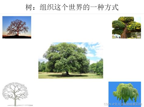 架构之路 30 ：目标系统 系统软件 Linux Os根文件系统rootfs的概念、组成、制作以及用busybox制作根文件系统