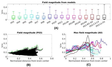 Correction Measurements And Models Of Electric Fields In The In Vivo Human Brain During