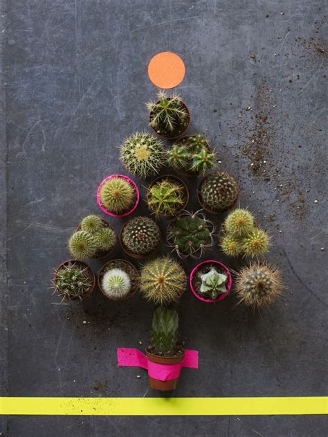Christmas Tree Alternative Alternative Christmas Tree Cacti And