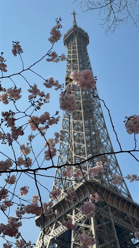 Anna Cardamon Annacardamon • Instagram Photos And Videos