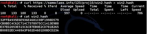 Project 12 Cracking Windows Password Hashes With Hashcat 15 Pts
