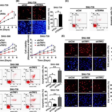 Telomeric Repeat‐containing Rna Terra Inhibited Hepatocellular