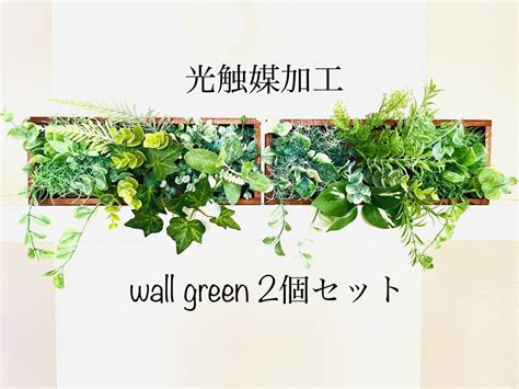 【未使用】光触媒加工 フェイクグリーン 抗菌消臭 2個セット インテリア 壁掛け G 48の落札情報詳細 ヤフオク落札価格検索 オークフリー