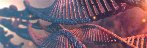 Simultaneous Detecting Methylation And Genetic Variations Of Bcr Abl1 Fusion Gene By Nanopore