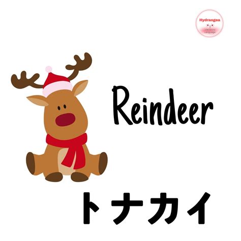 Hydrangea Japanese Language