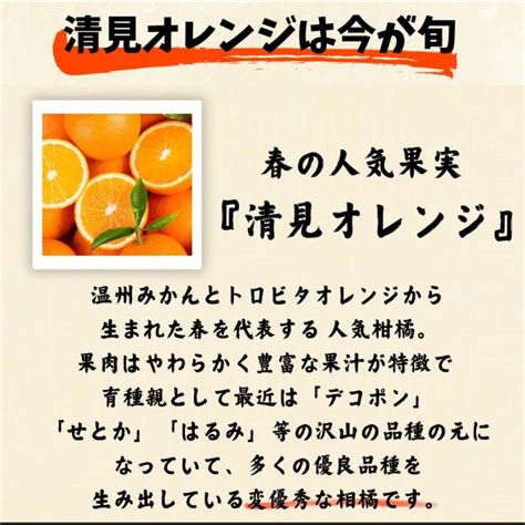 【産地直送】 有田 清見オレンジ 和歌山県産 訳ありみかん 完熟 甘い 家庭用 選べる箱サイズ 5kg Trendstore 通販