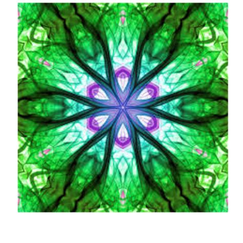 Fifth Grade Lesson Line Symmetry Betterlesson