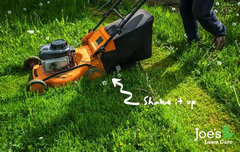 9 Easy Ways To Cut Your Grass Properly Joes Lawn Care