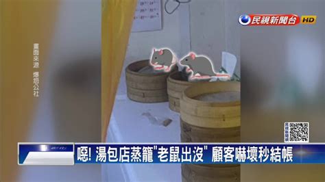 湯包店蒸籠「老鼠出沒」 衛生局：未改善將開罰 民視新聞影音 Line Today